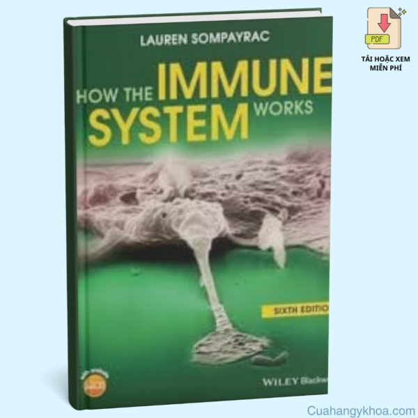 Hệ thống miễn dịch hoạt động như thế nào 6th Edition - Tài Liệu Y Khoa ...