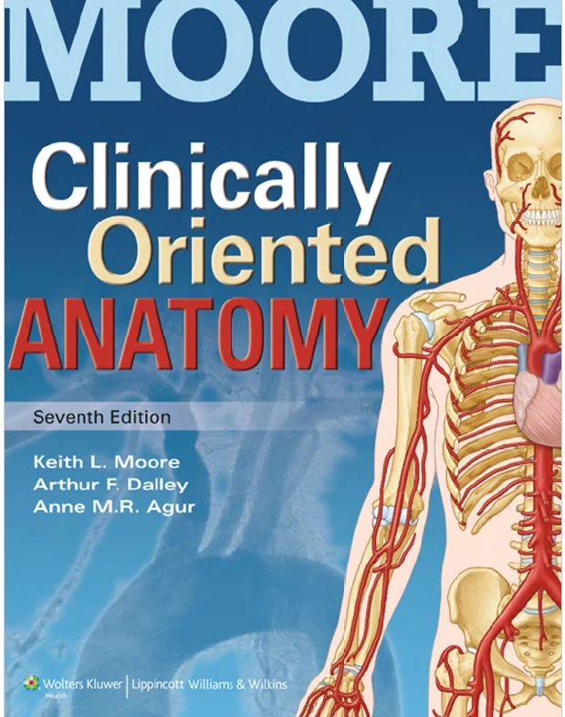 [PDF] Moore's Clinically Oriented Anatomy 7th Edition